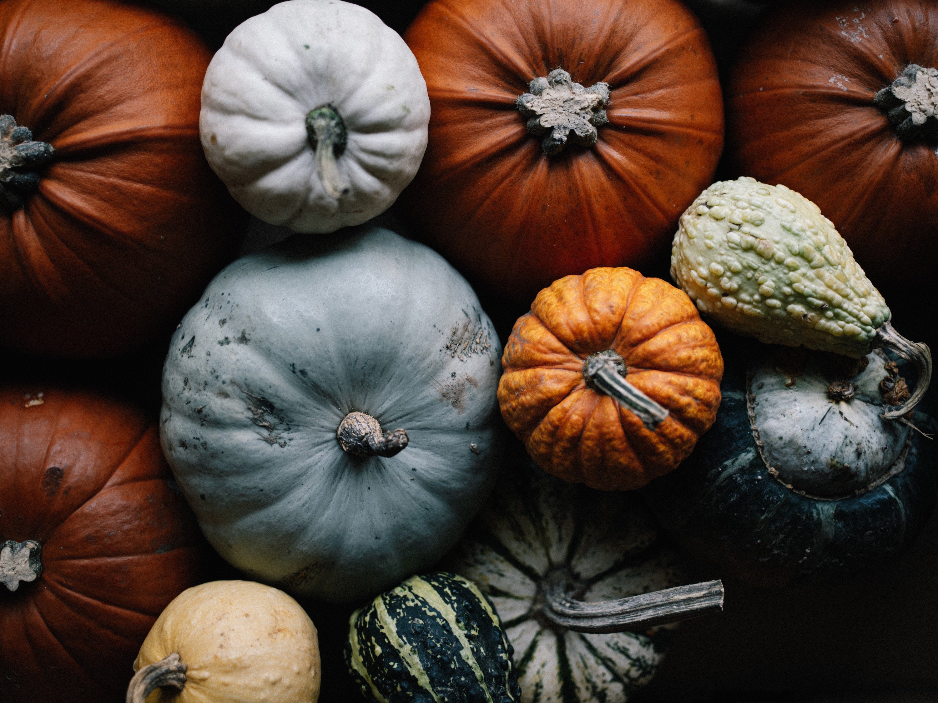 Élégant Halloween: Decorating Your Home the French Way – French Dry Goods